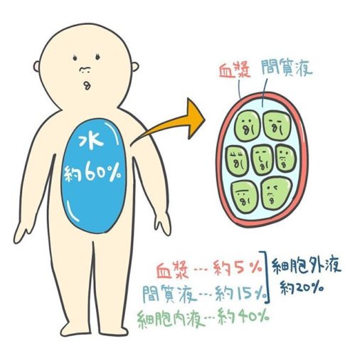 人体を構成する要素 P56 （無料公開） | クロメディックの救急救命士University